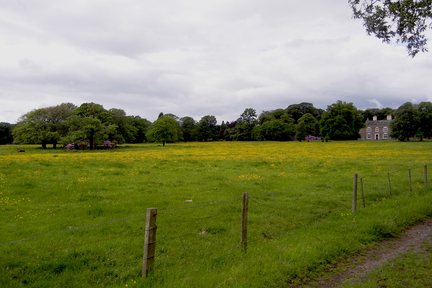 Woolsington Hall, England - On the drawing board - Create Golf